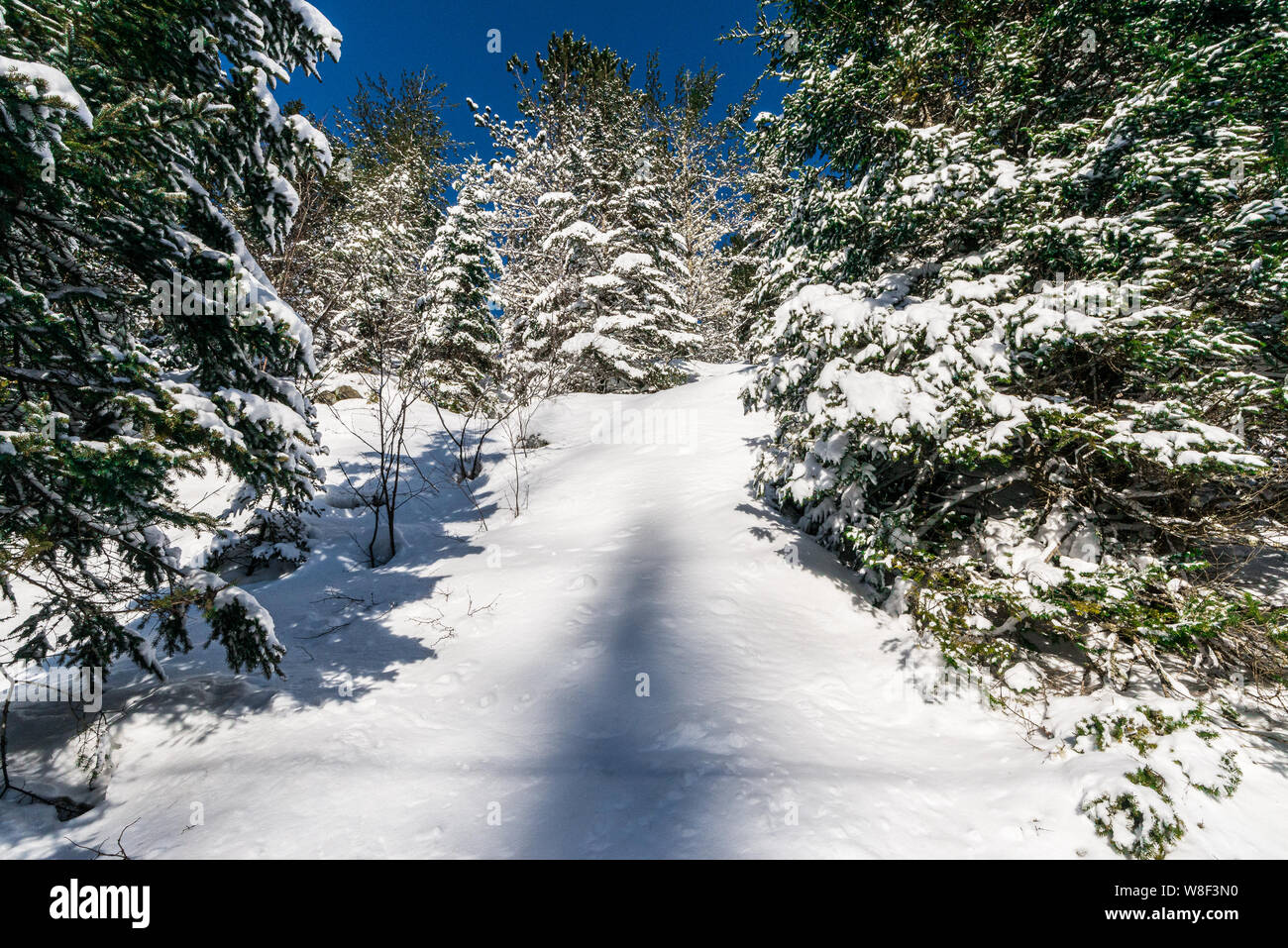 landscape and scenery of the Laurentians in Canada-4 Stock Photo - Alamy