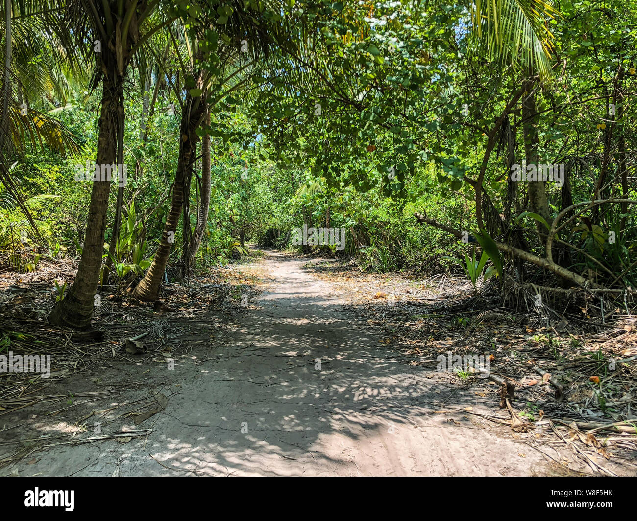 Jungle and the path at sunny day on Fehendhoo island, Maldives Stock ...