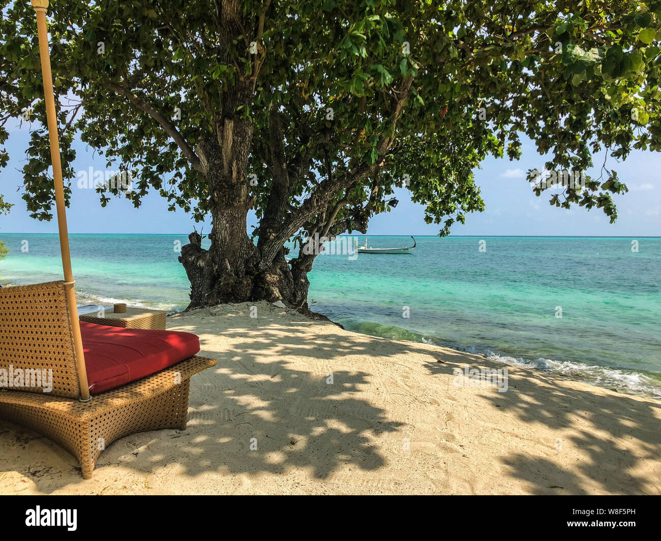 Tree on the beach with boats in the sea at sunny day on Fehendhoo ...
