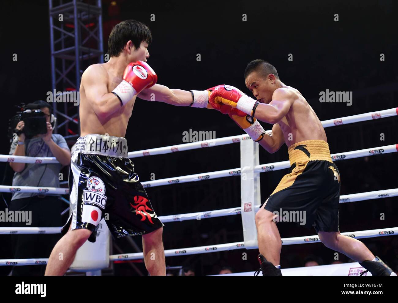 World boxing council hi-res stock photography and images - Alamy