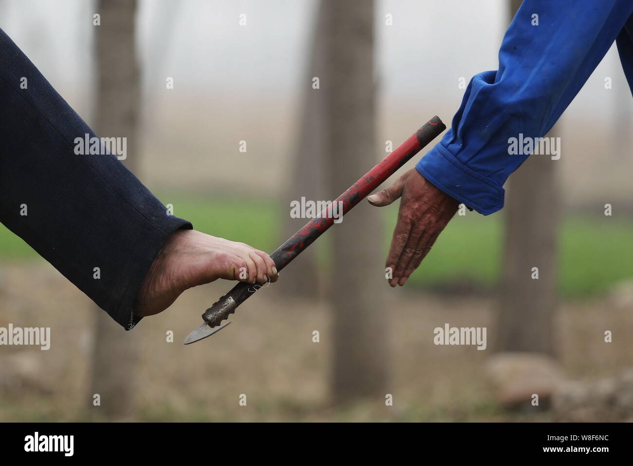 Jia Wenqi High Resolution Stock Photography and Images - Alamy