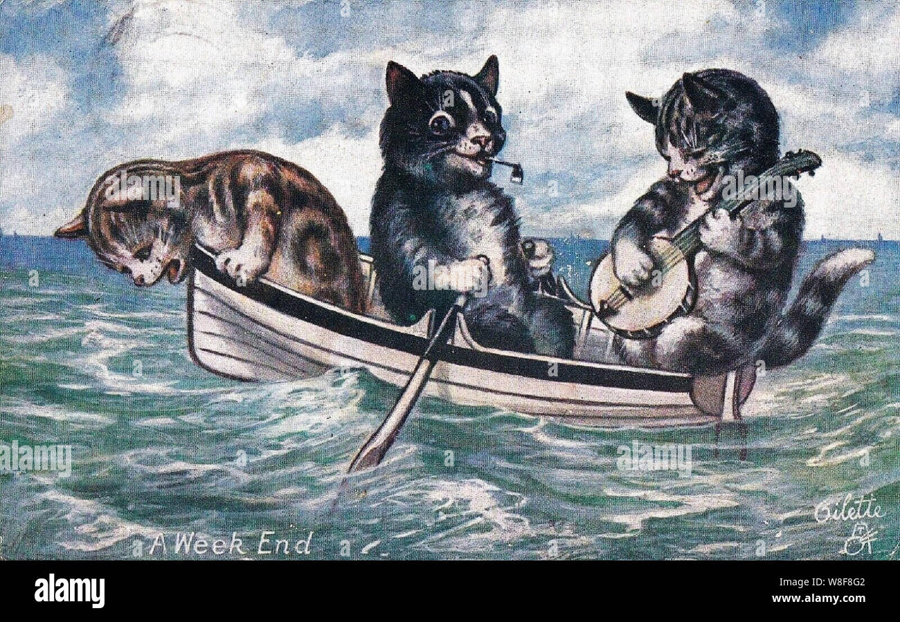 kittens in a boat Stock Photo - Alamy