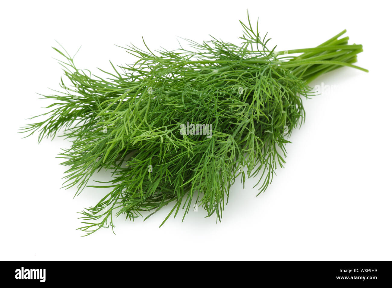 Bunch of fresh green dill isolated on white background Stock Photo - Alamy