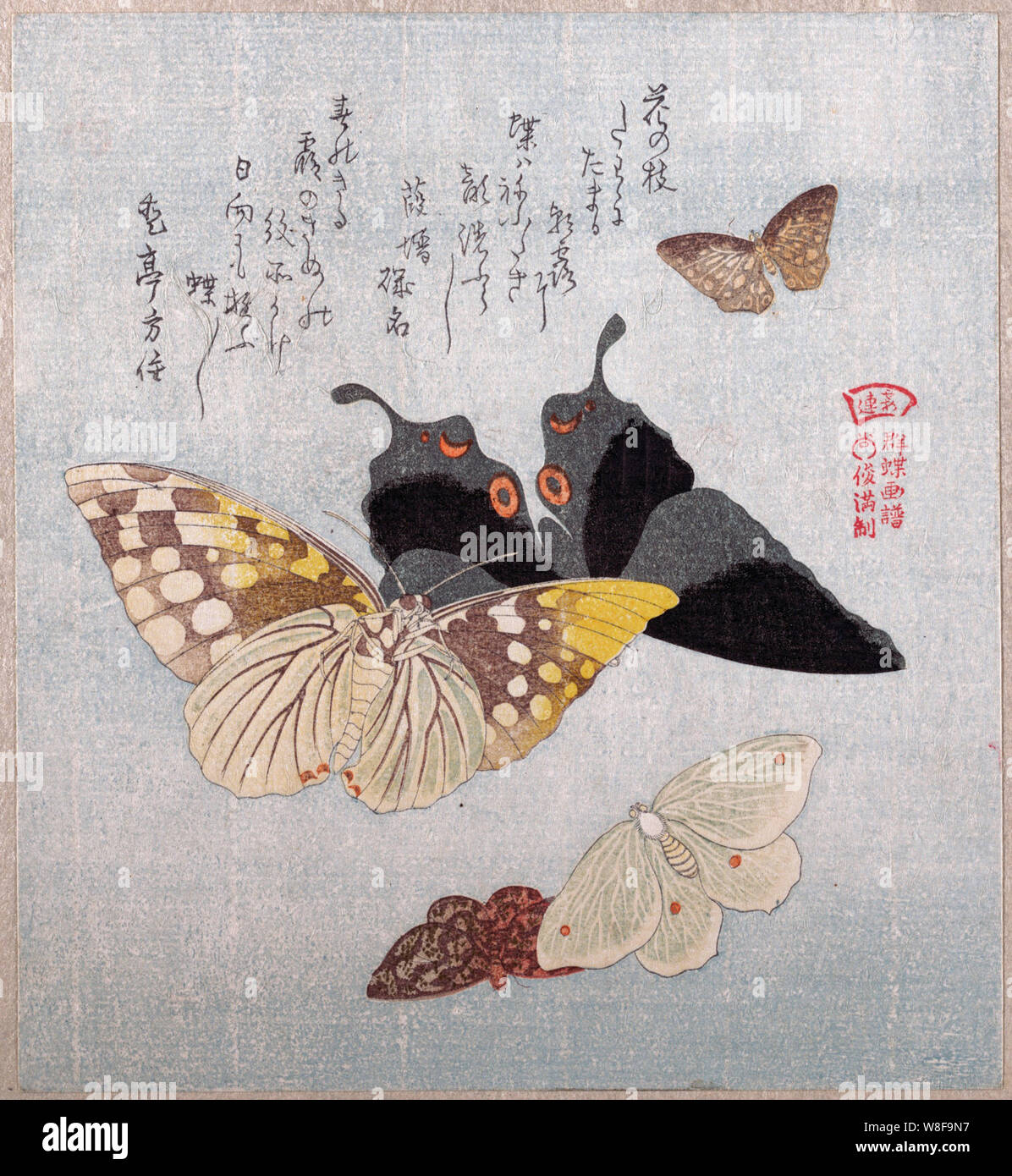 Art nouveau butterflies hi-res stock photography and images - Alamy