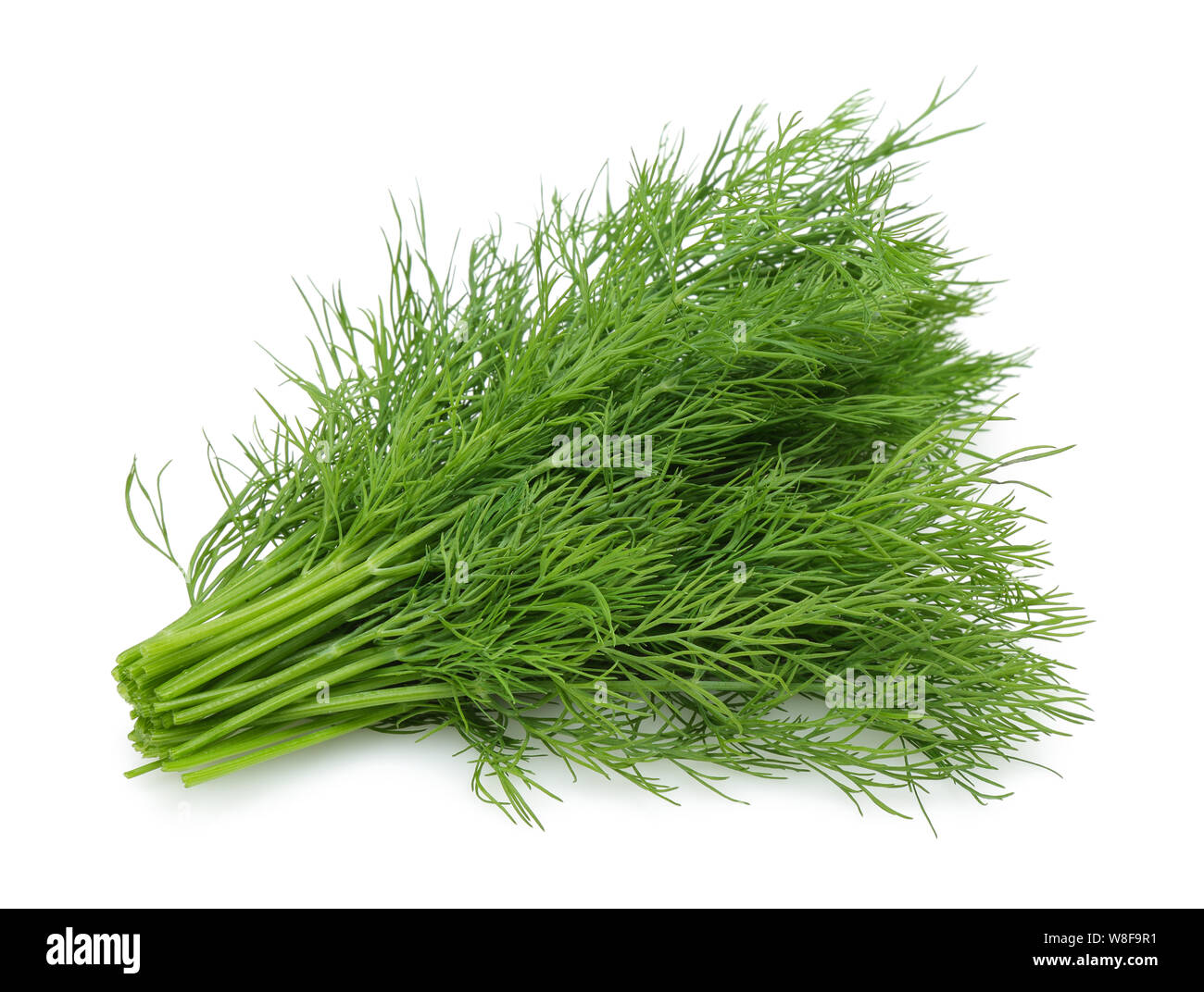 Bunch of fresh green dill isolated on white background Stock Photo - Alamy