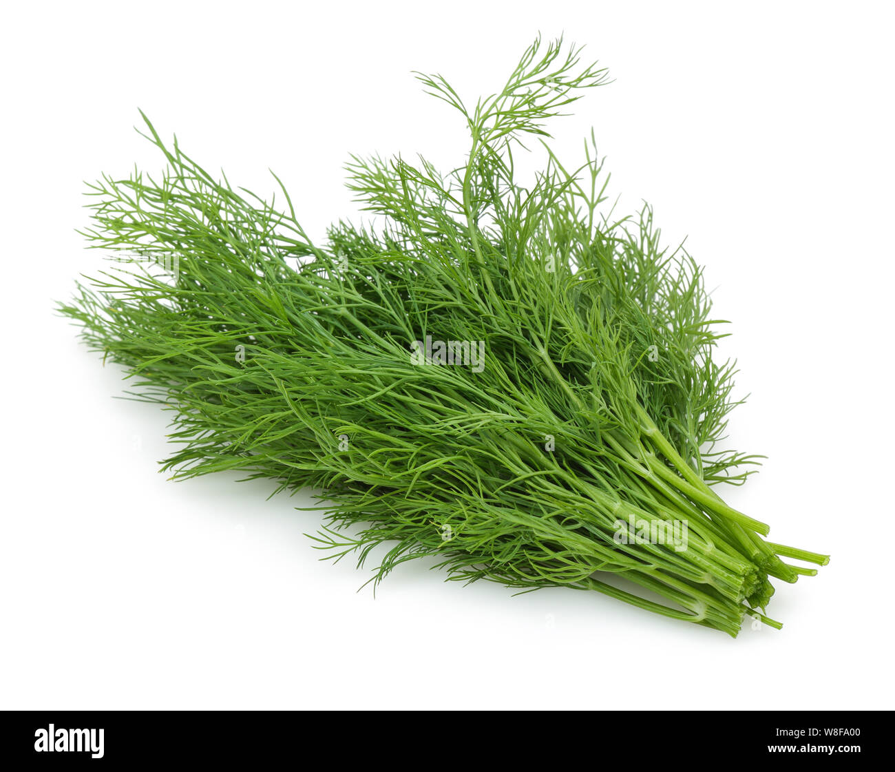 Bunch of fresh green dill isolated on white background Stock Photo - Alamy