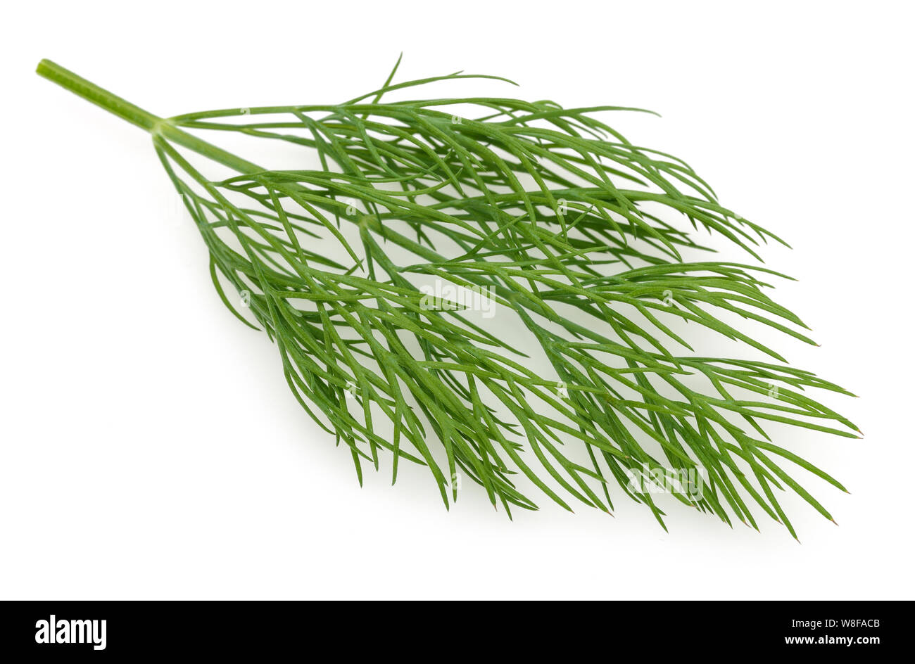 Fresh green dill isolated on white background Stock Photo - Alamy
