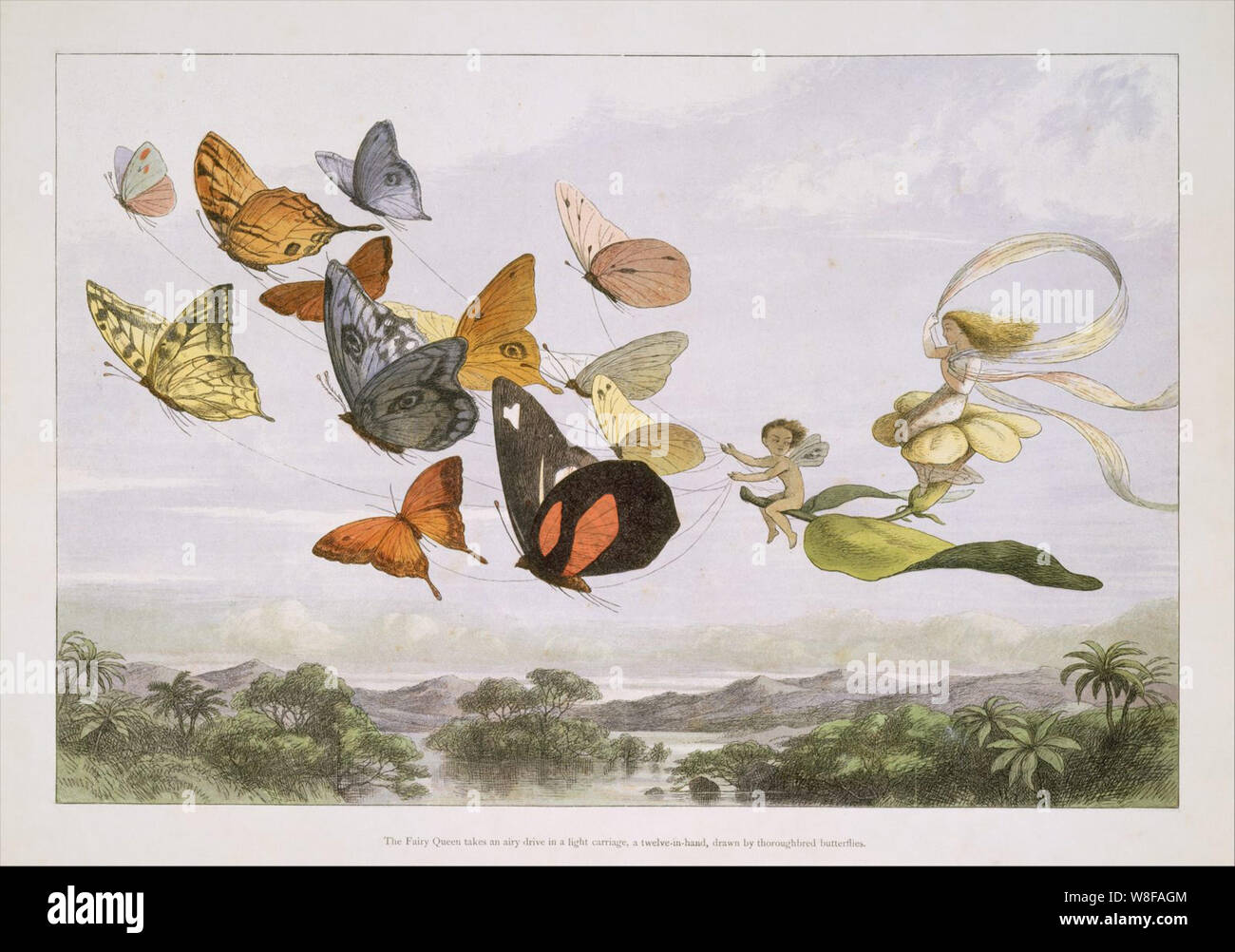 Vintage butterfly art Stock Photo - Alamy