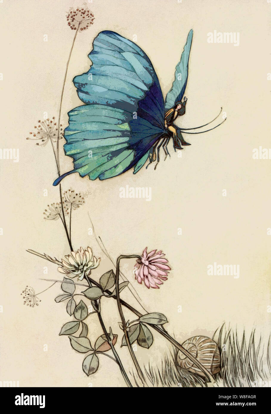 riding on the back of a butterfly Stock Photo - Alamy