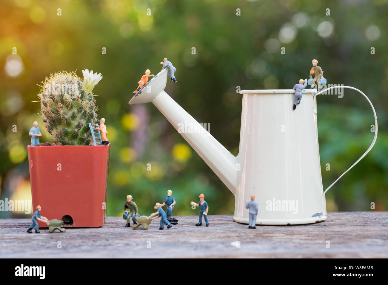 miniature people working in the cactus garden Stock Photo - Alamy