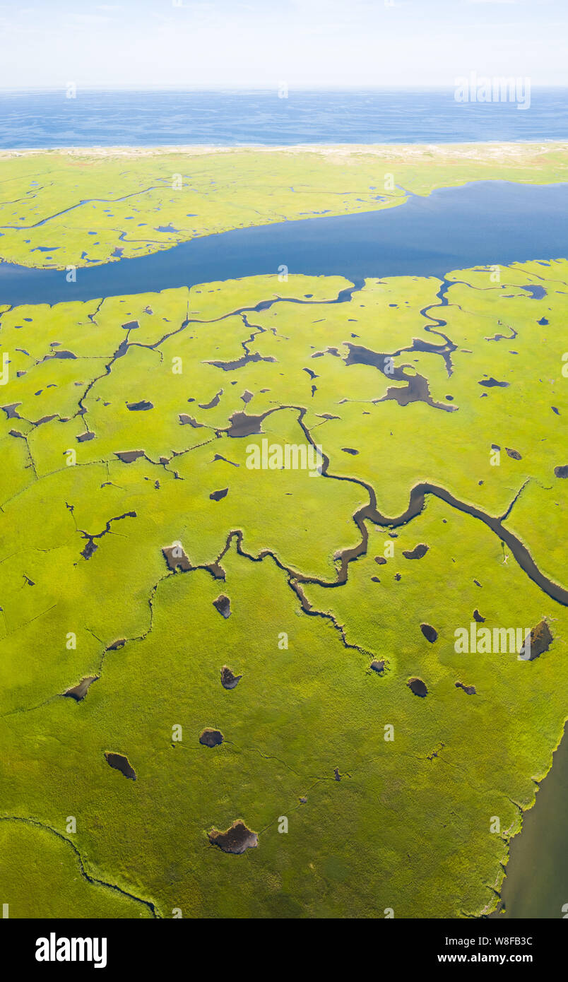 Marsh grass cape cod hi-res stock photography and images - Alamy