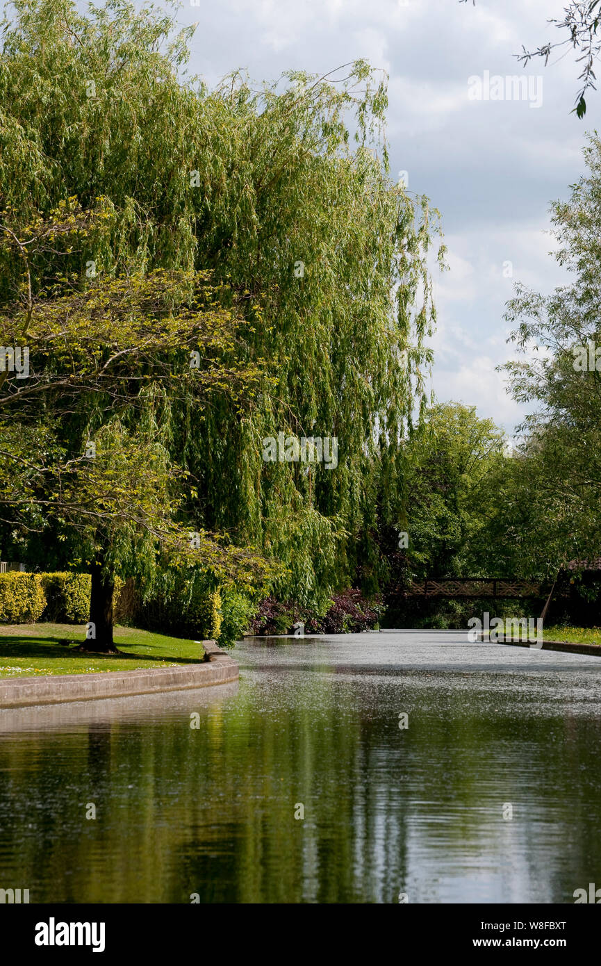 Summer cambridge beautiful scenery hi-res stock photography and images ...