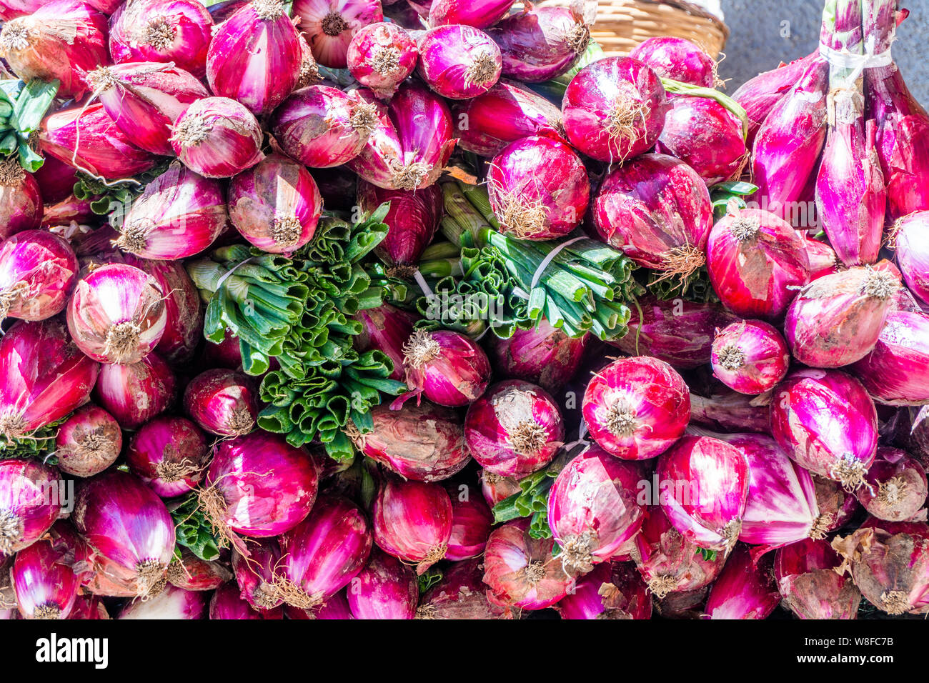 The sweet red onion of tropea hi-res stock photography and images - Alamy