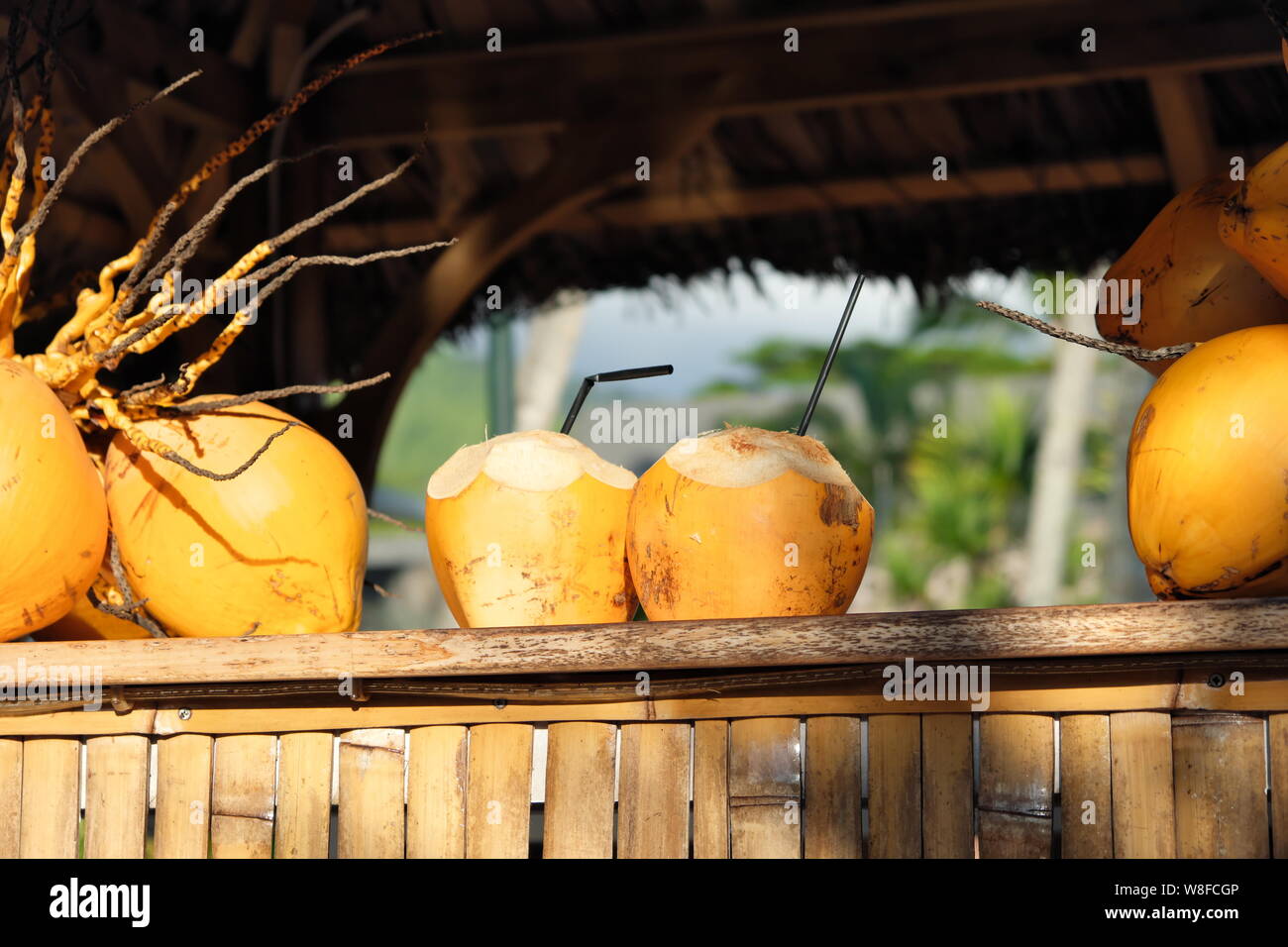 Opened coconuts in a bar with drinking straw Stock Photo - Alamy