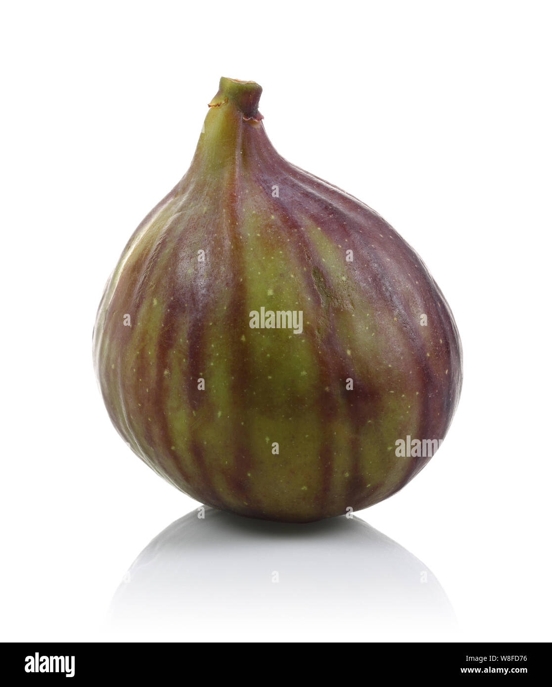 Single purple fig fruit isolated on white background Stock Photo - Alamy