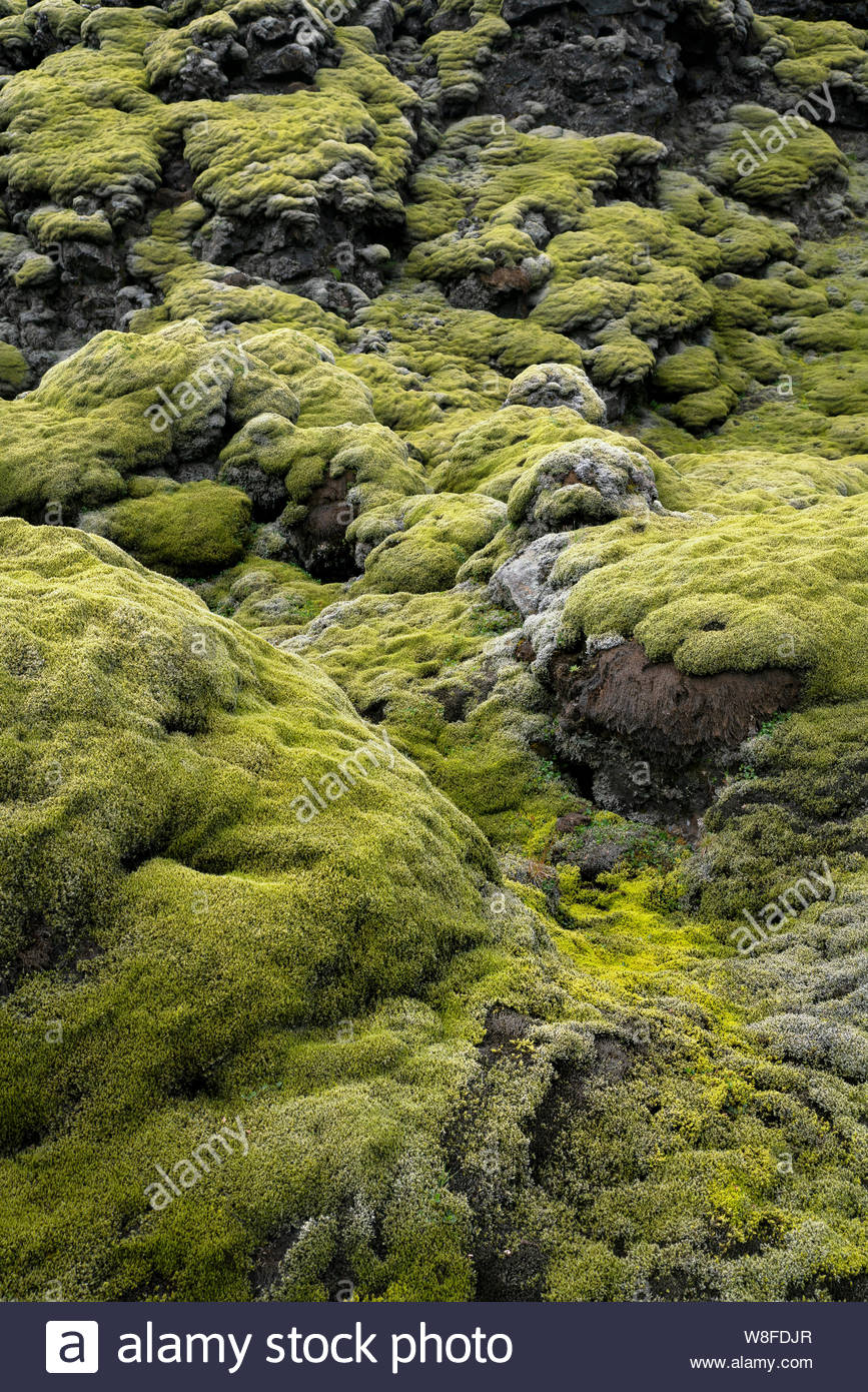 Laki Volcano Stock Photos & Laki Volcano Stock Images - Alamy