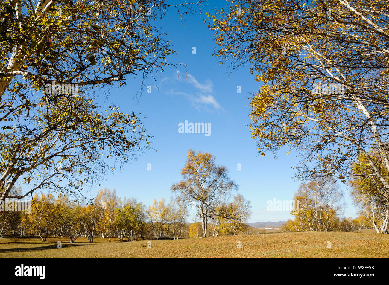 Chifeng scenery hi-res stock photography and images - Alamy
