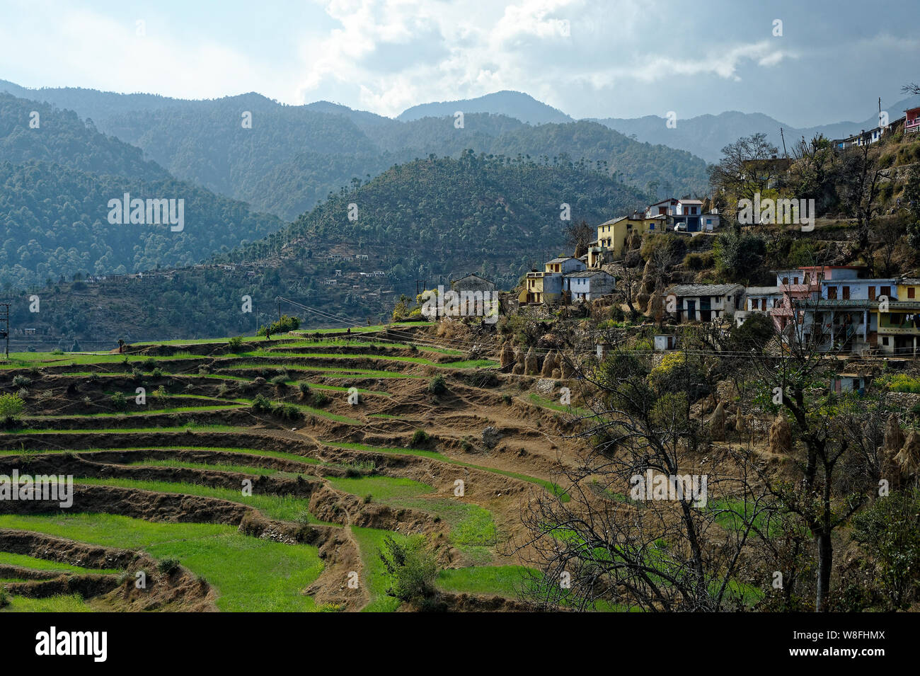 Himalayan houses and terrace farming Stock Photo - Alamy