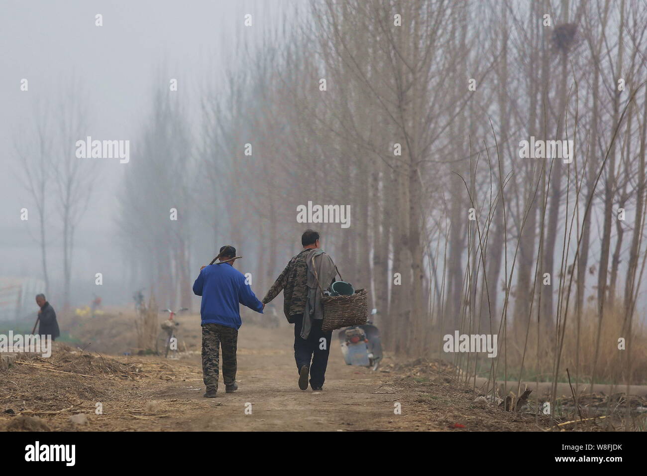 Jia Wenqi High Resolution Stock Photography and Images - Alamy