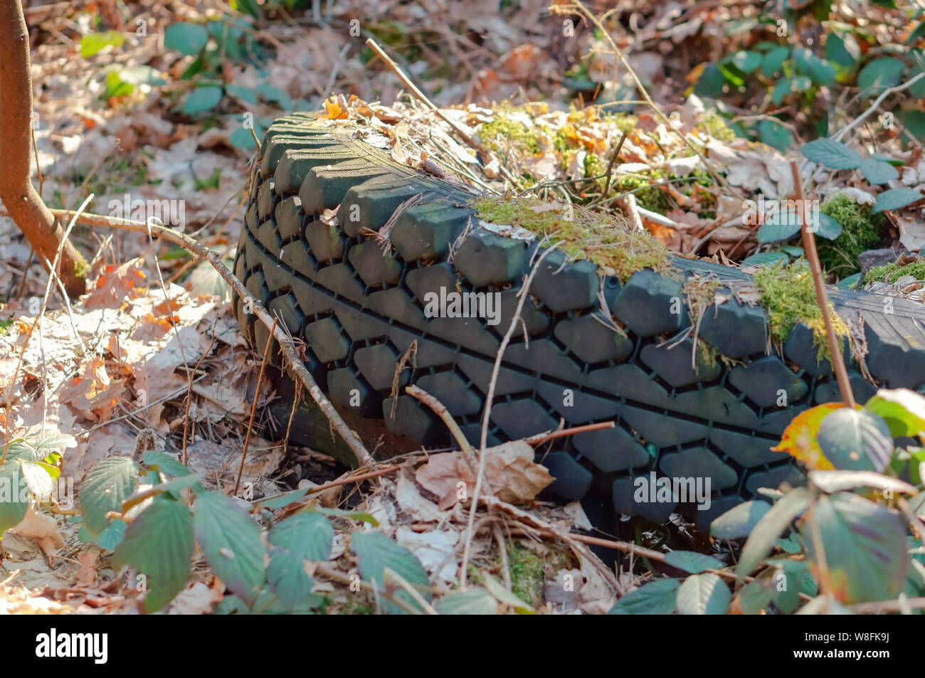 car tires in the forest, pollution of nature by car tires Stock Photo ...