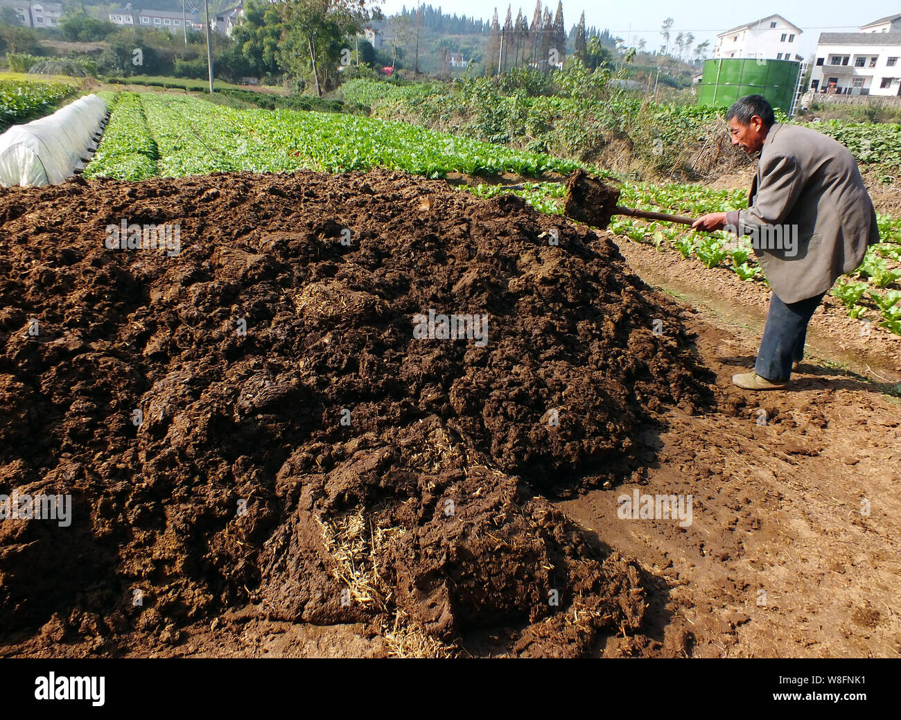 Toilet waste hi-res stock photography and images - Alamy