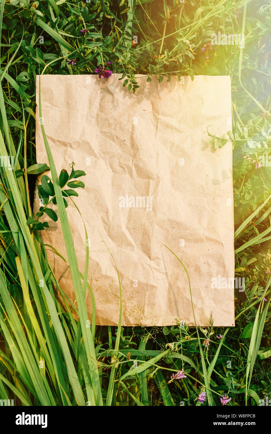 Creative Paper Background