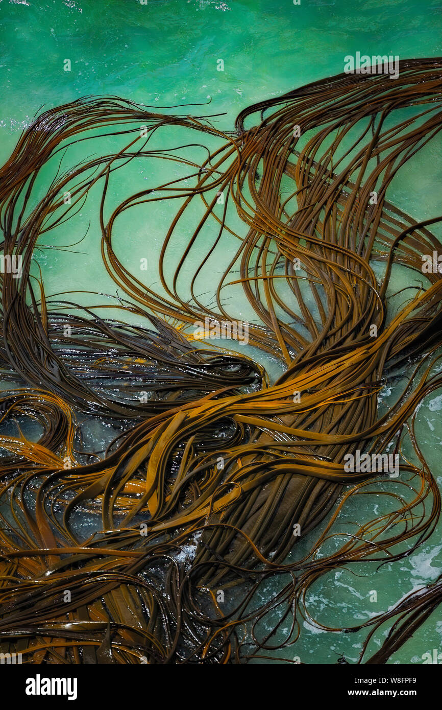 Movements energy hi-res stock photography and images - Alamy