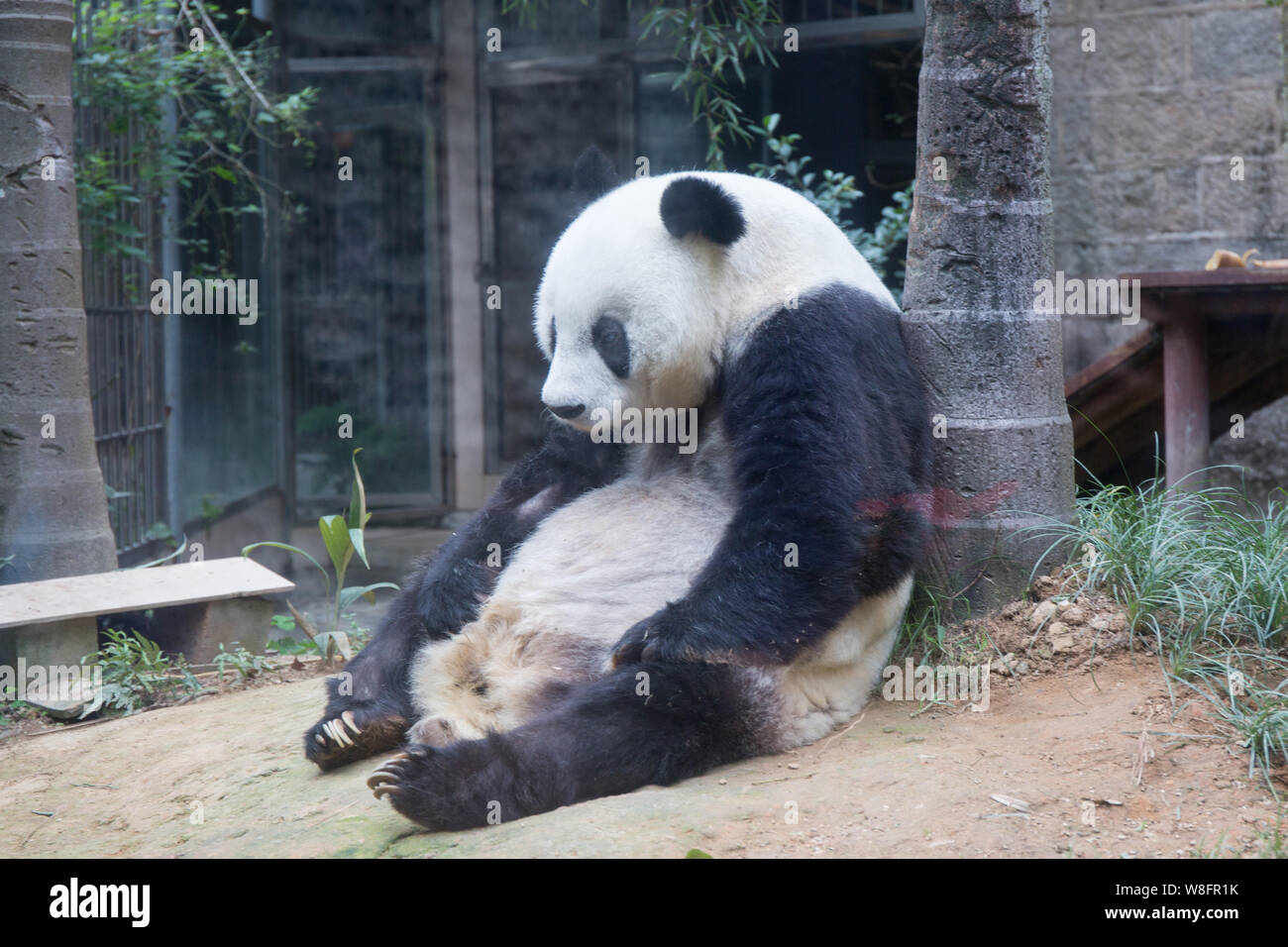 Female fujian province hi-res stock photography and images - Alamy