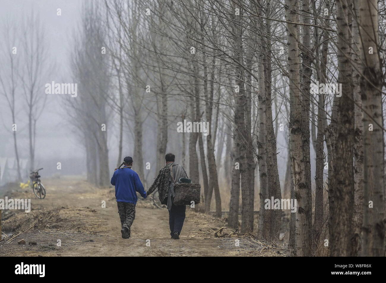 Jia Wenqi High Resolution Stock Photography and Images - Alamy