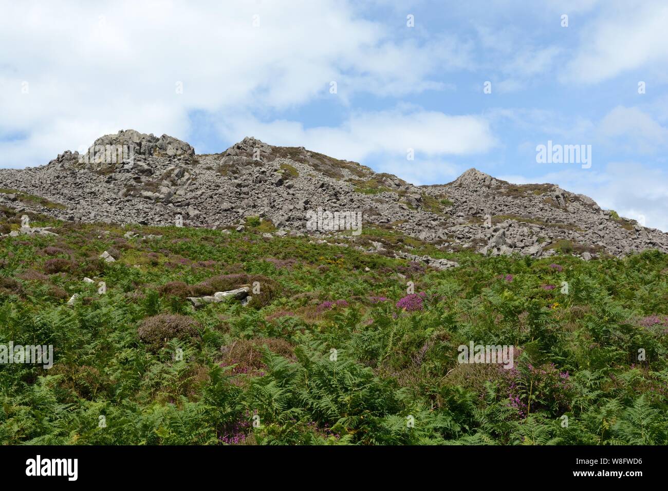 Carn Ingli Mountain Carningli Angel Mountain said to in the shape of a ...