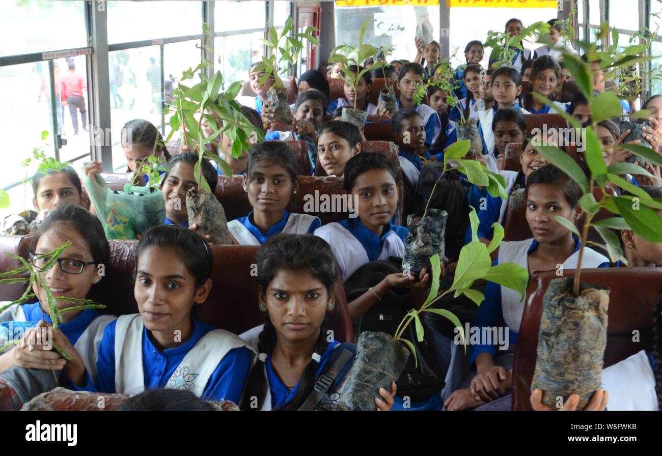 Sapling distribution hi-res stock photography and images - Alamy