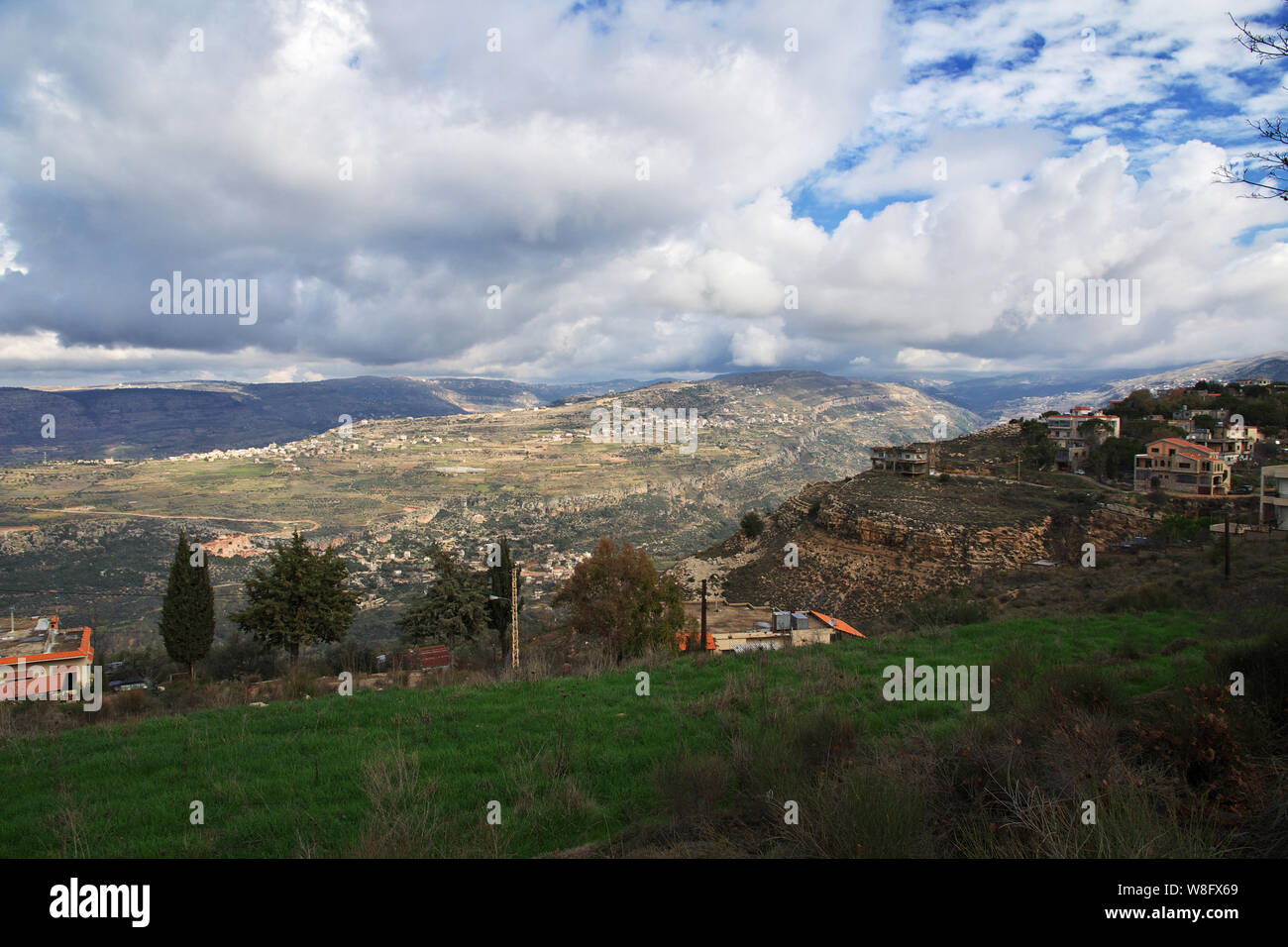 The cedar forest in mountains of Lebanon Stock Photo - Alamy