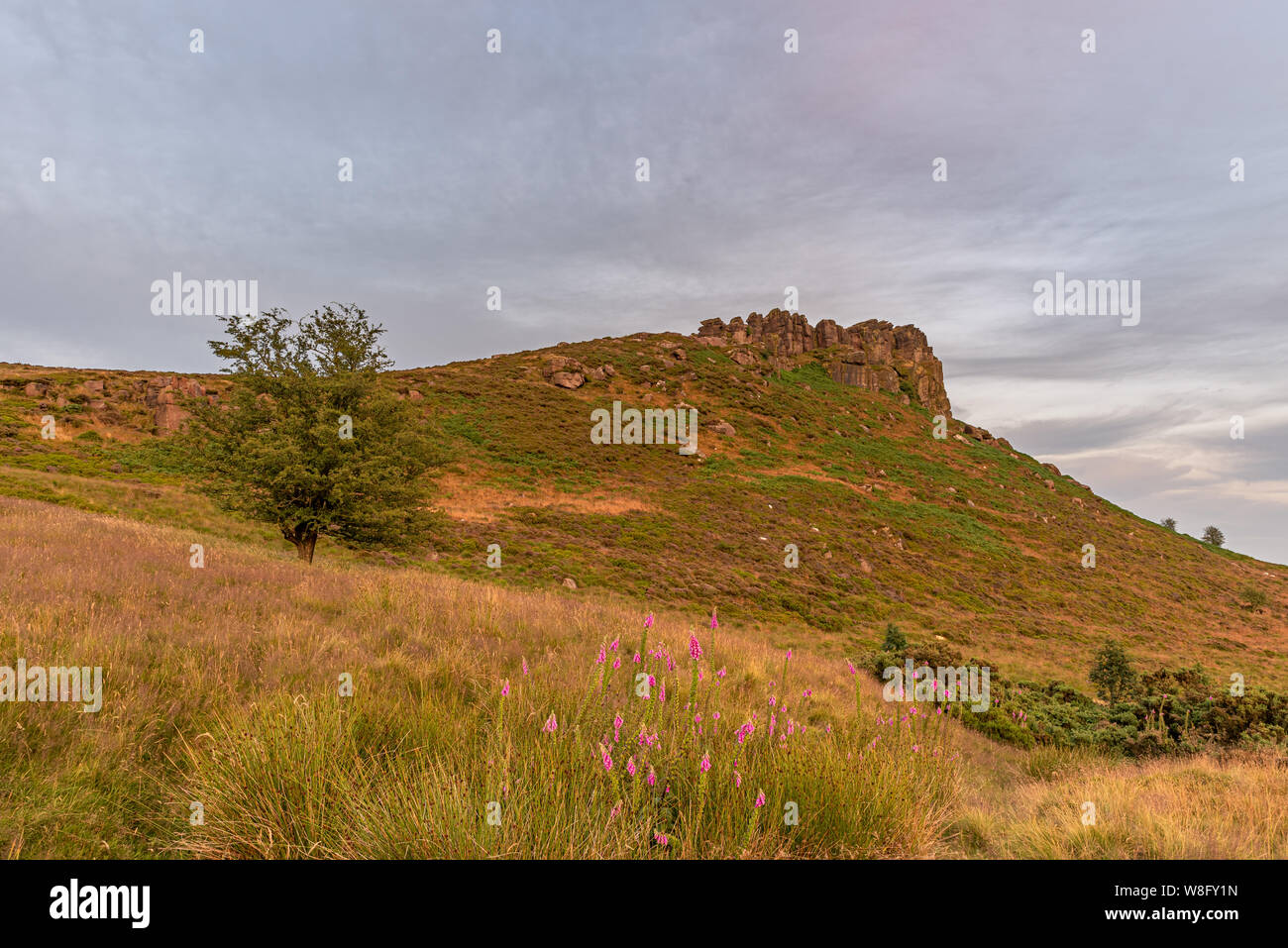 Panoramic view of Hen Cloud and The Roaches just before sunset in the ...