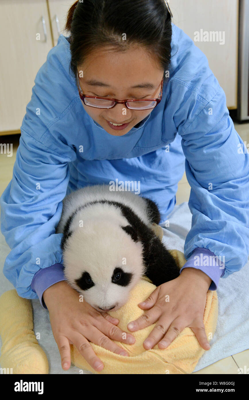 Bifeng gorge hi-res stock photography and images - Alamy
