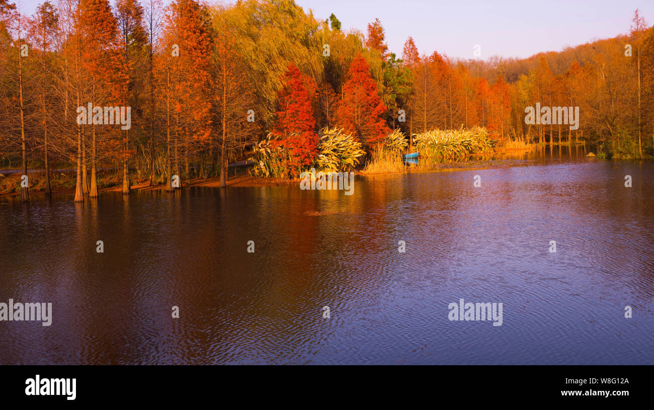 Aerial view of the Meihua Valley on Mount Zijin (Purple Mountain) in ...