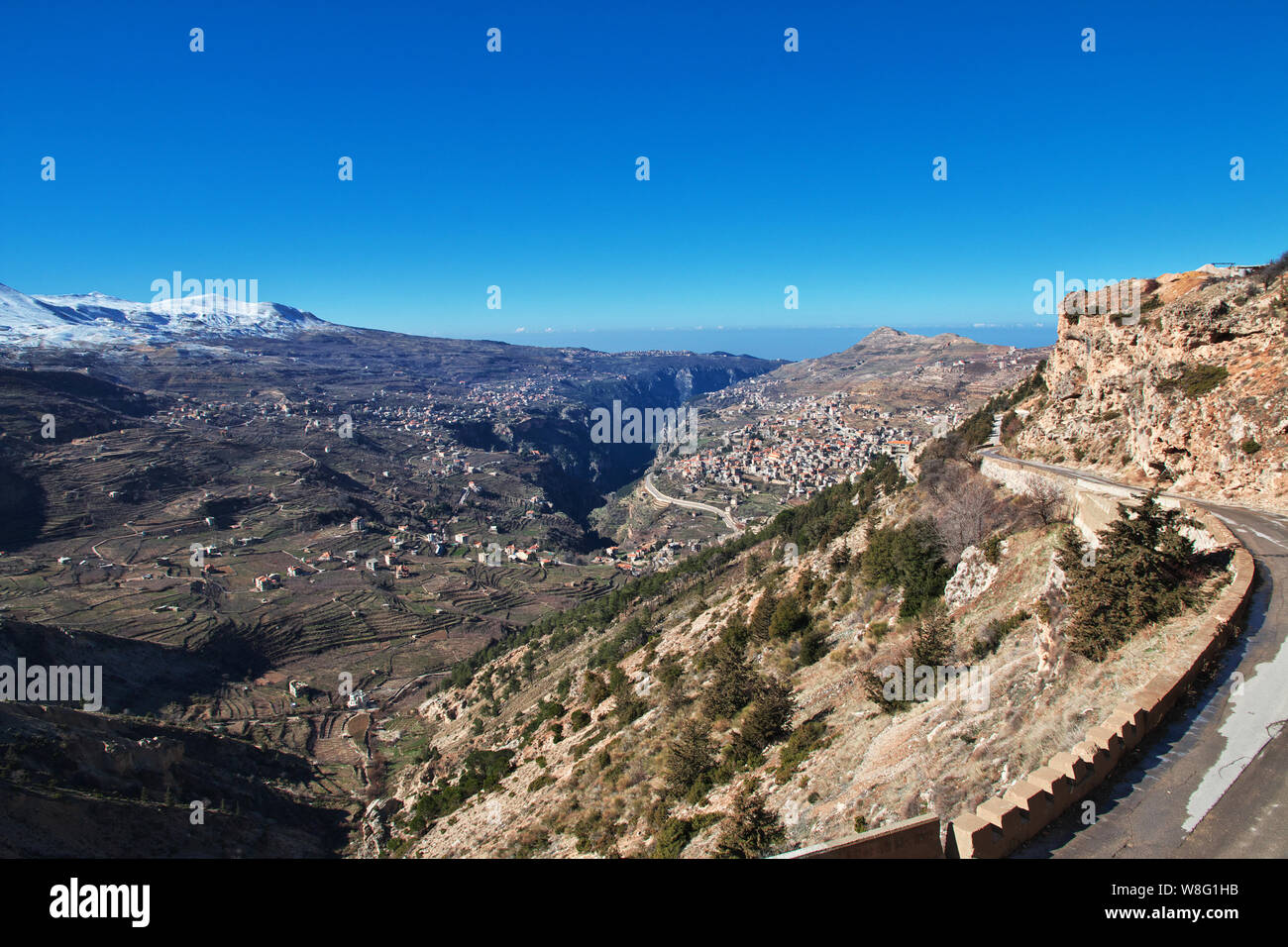 The cedar forest in mountains of Lebanon Stock Photo - Alamy