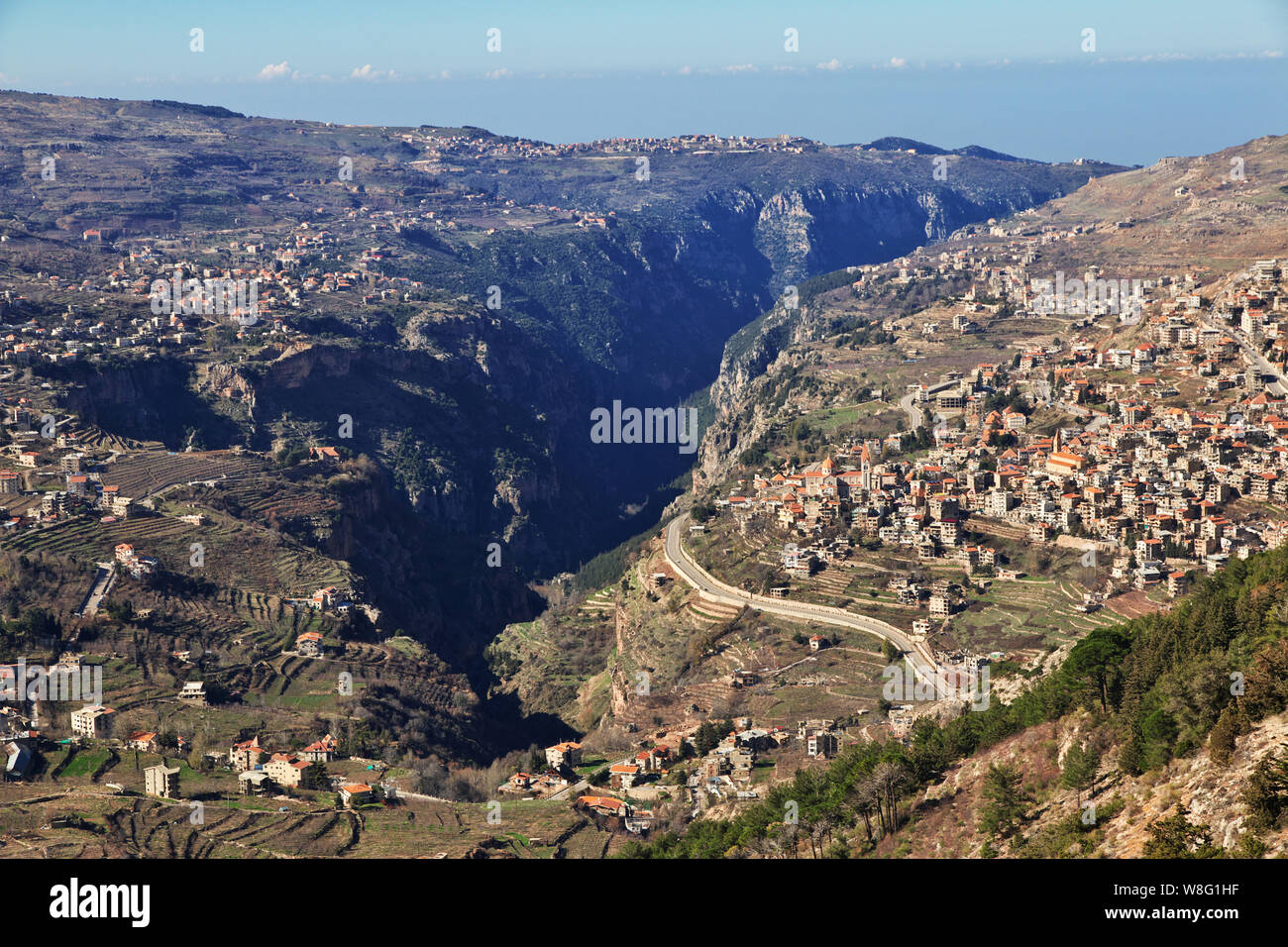 The cedar forest in mountains of Lebanon Stock Photo - Alamy
