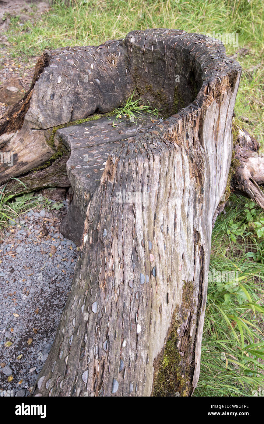 Coin seat wishing tree Stock Photo - Alamy