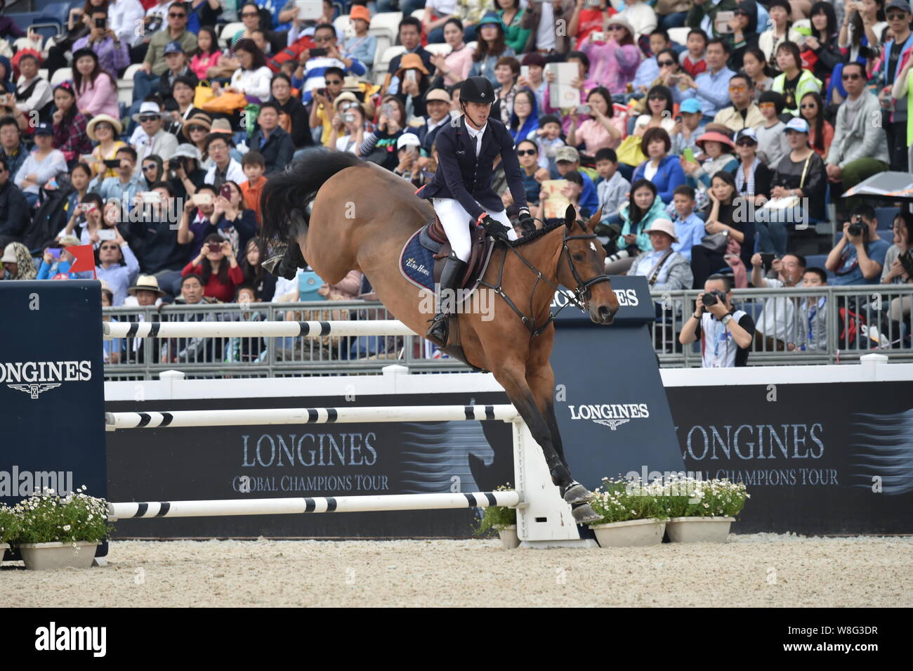 Dutch equestrian rider Harrie Smolders competes in the Against the ...