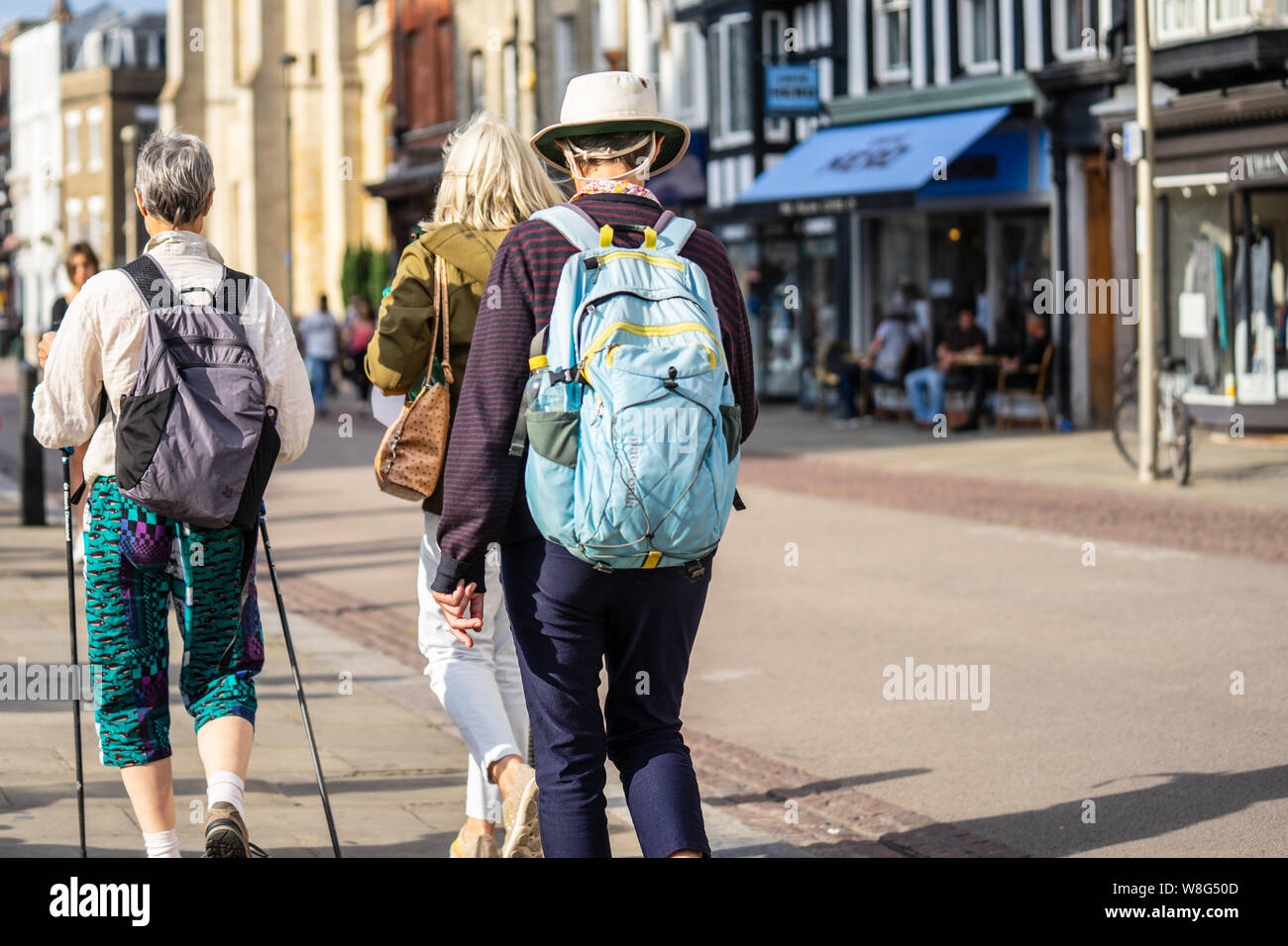 Antishock walking pole hi-res stock photography and images - Alamy