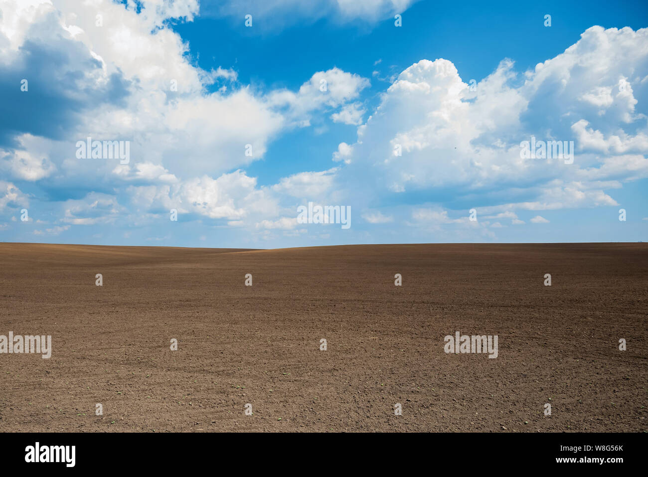Empty brown soil of field and blue sky for natural background Stock ...