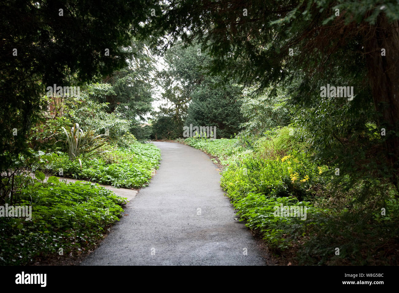 Wild english gardens with pathway hi-res stock photography and images ...