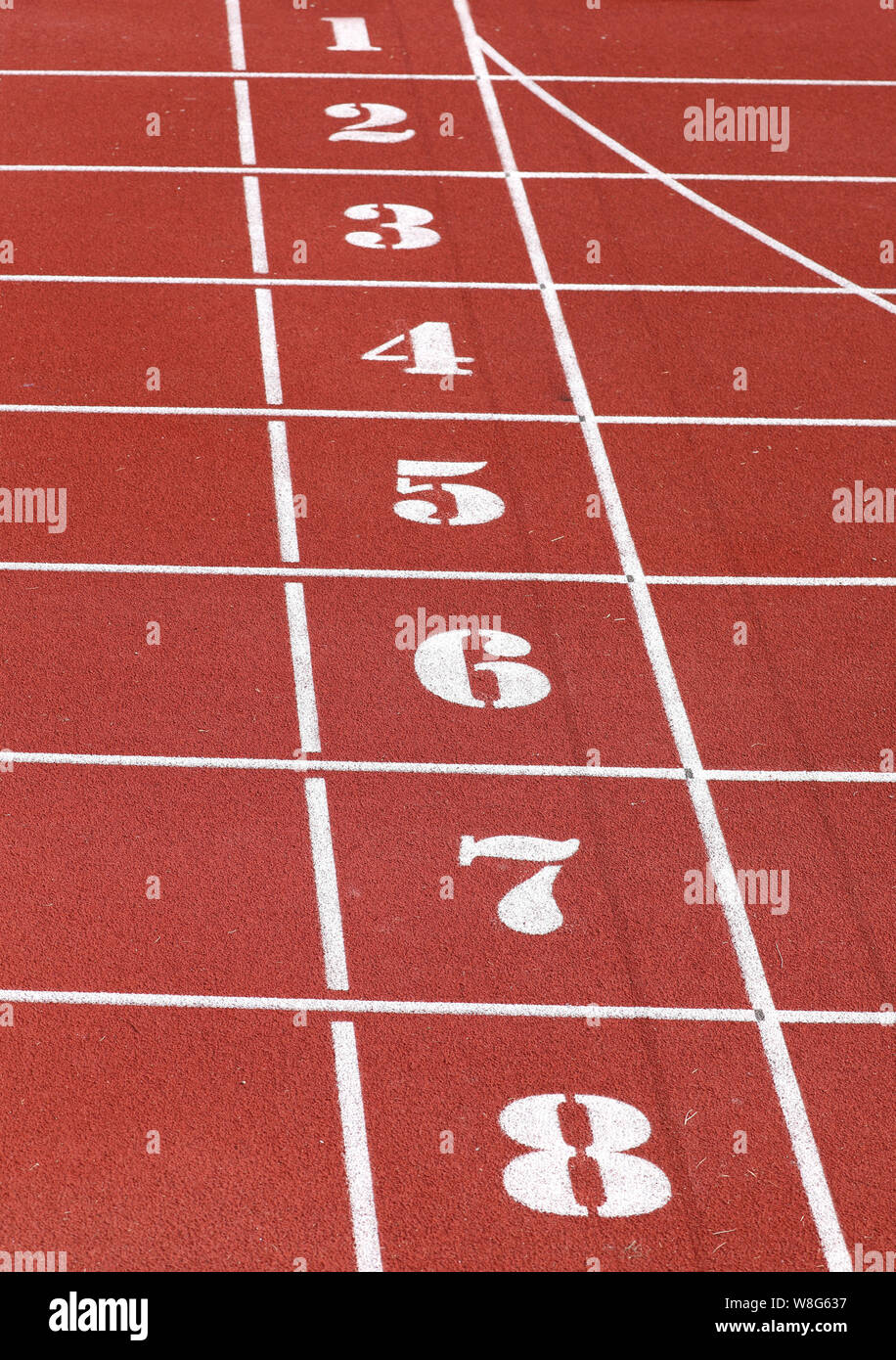 numbers from one to eight of the athletics track lane before the speed ...