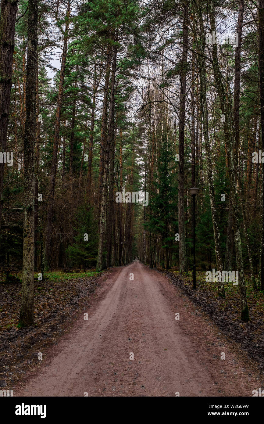 Beautiful landscape path leading forest hi-res stock photography and ...