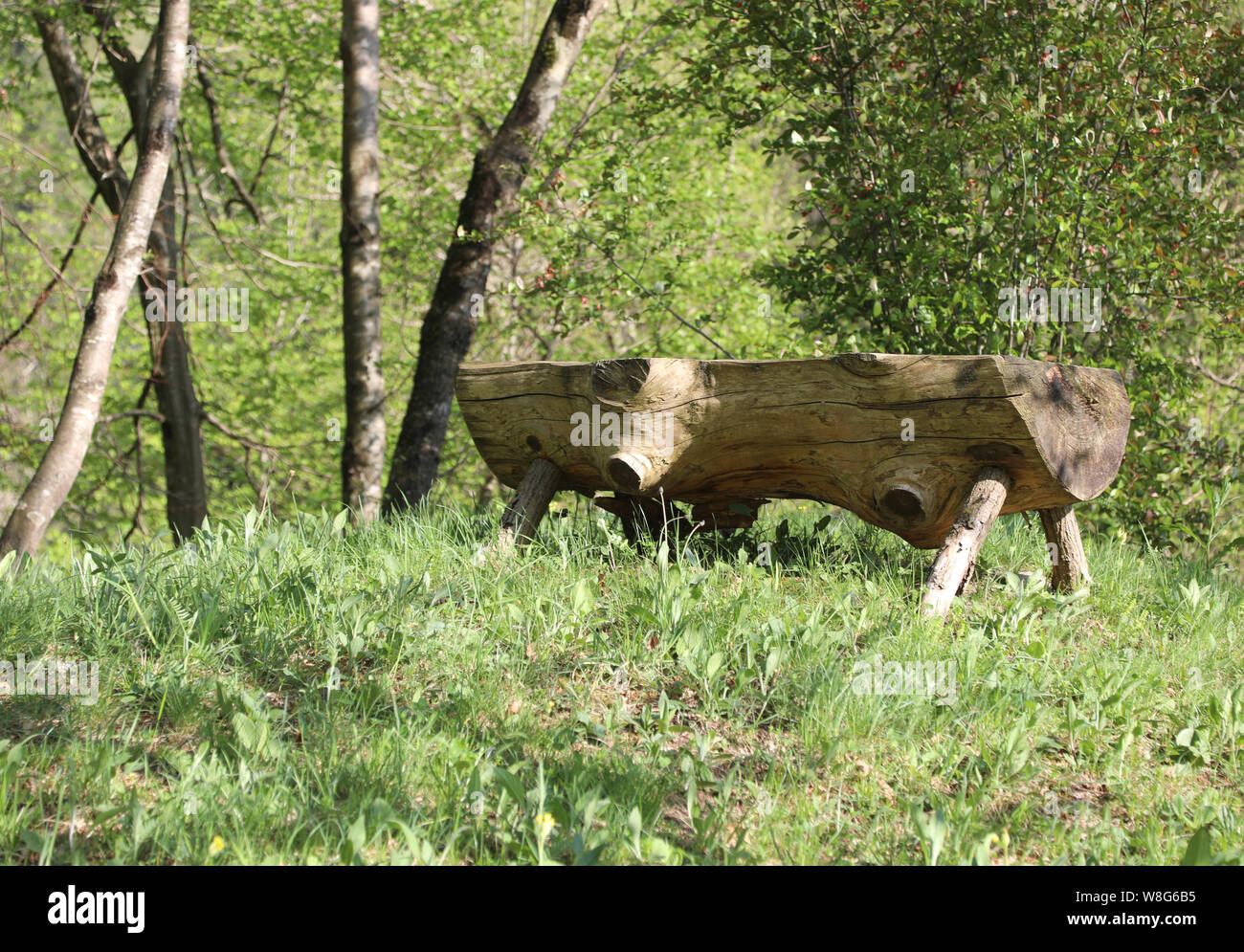 isolated wooden altar used to religious rite in the forest Stock Photo ...