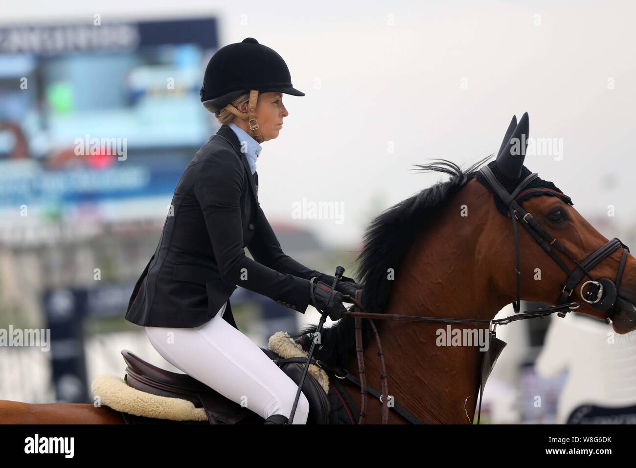 An equestrian rider competes in the Two Phases during the Shanghai ...