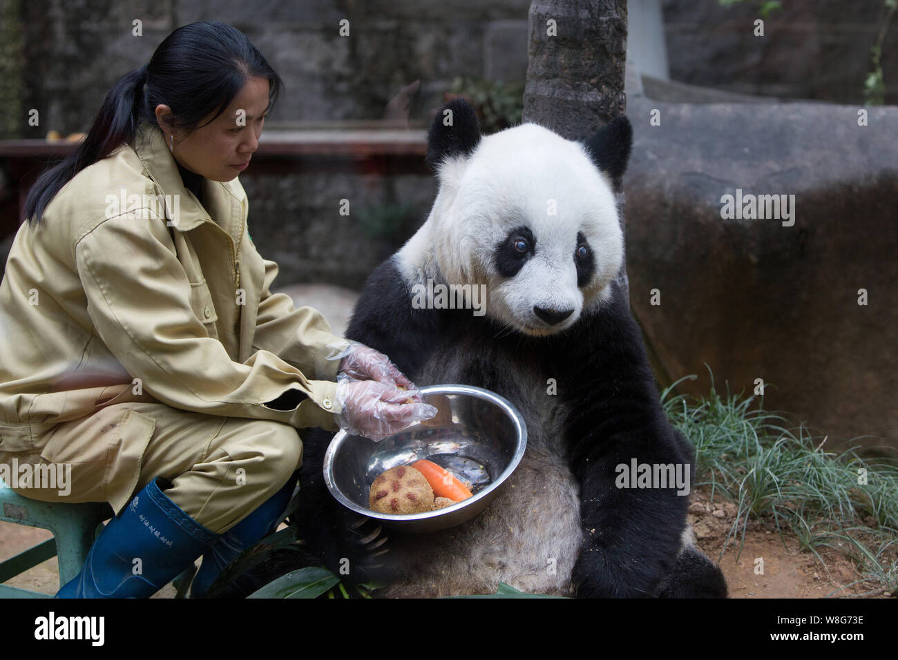Employee of the year hi-res stock photography and images - Alamy