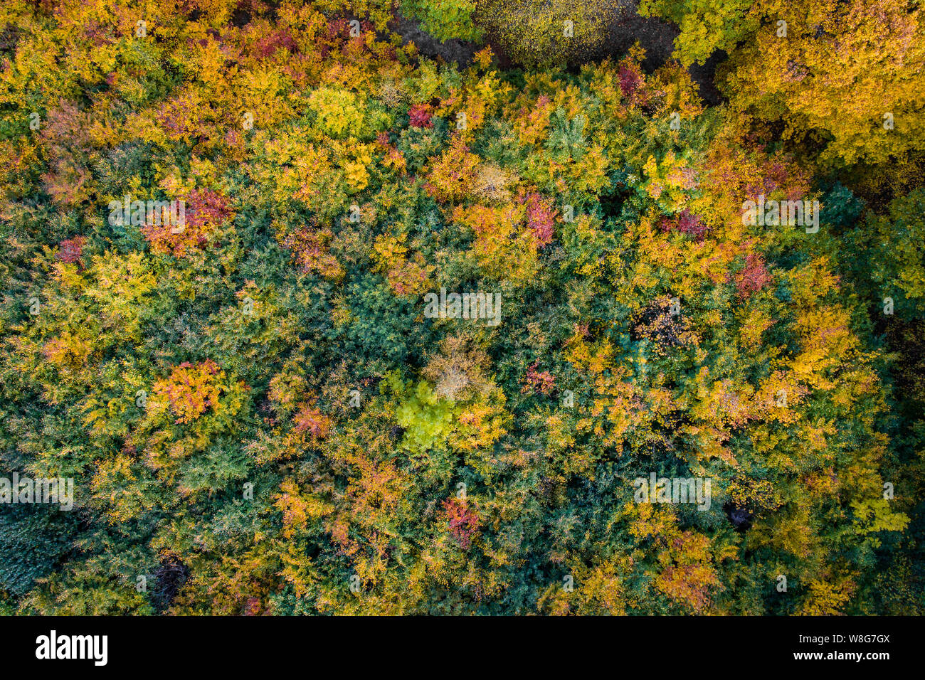 The Central Bohemian Region is an administrative unit of the Czech ...