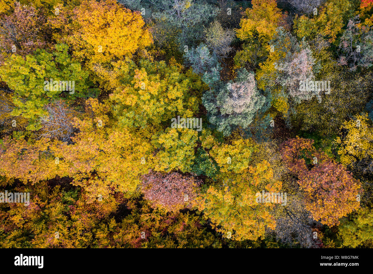 The Central Bohemian Region is an administrative unit of the Czech ...