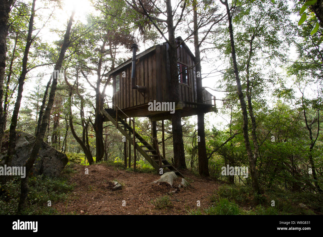 Treehouse hi-res stock photography and images - Alamy